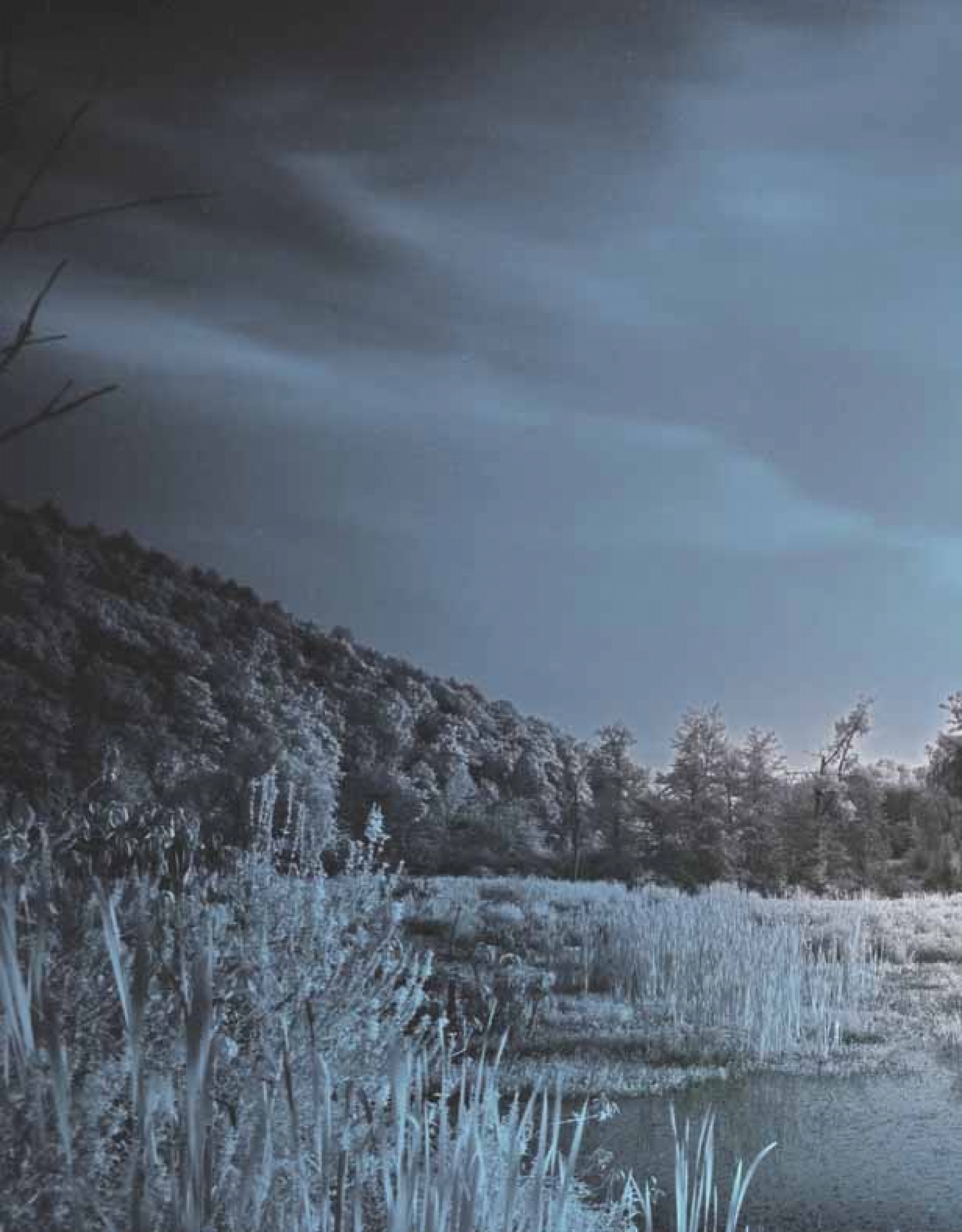M Scott Johnson